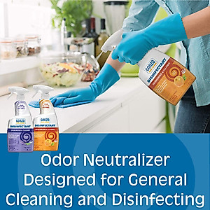 Gonzo Disinfectant Spray & Multipurpose Cleaner - 24 Ounce (2 Pack) Citrus - Odor Eliminator, Disinfectant, Flood Fire Water Damage Restoration