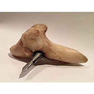 Jak-Knife by Wasp Archery