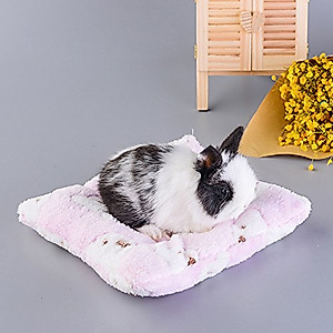 FLAdorepet Small Animal Guinea Pig Hamster Bed House Winter Warm Squirrel Hedgehog Rabbit Chinchilla Bed Mat House Nest Hamster Accessories (Medium,Random)