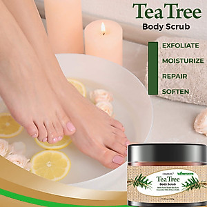 Chamuel Tea Tree Body & Foot Scrub - 100% Natural Exfoliating Body Scrub with Dead Sea Salt, Plant-based Stem Cells, Ginger & Essential Oils– Rejuvenates & Soothes Dead & Dry Skin (15.1oz)
