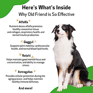 Pet Wellbeing Old Friend for Senior Dogs - Vet-Formulated - Aging Immune System & Joint Mobility Support in Older Canines - Natural Herbal Supplement 2 oz (59 ml)