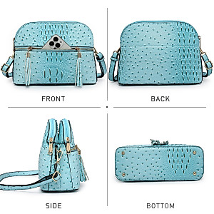 Dasein Women Tassel Zipper Pocket Crossbody Bag Shoulder Purse Fashion Travel Bag with Multi Pockets(Ostrich Blue)