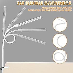 ShineTech LED Desk Lamp for Home Office, Eye-Caring Desk Light with Clamp, 3 Colors Stepless Brightness Adjustable Flexible Gooseneck, USB Adapter