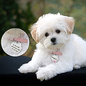 Didog Stainless Steel Custom Engraved Pet ID Tags,Round Crystal Rhinestones Tags with Pretty Paw Print,Double-Side Laser Engraving Tags Fit Small Medium Large Dogs and Kittens,Pink