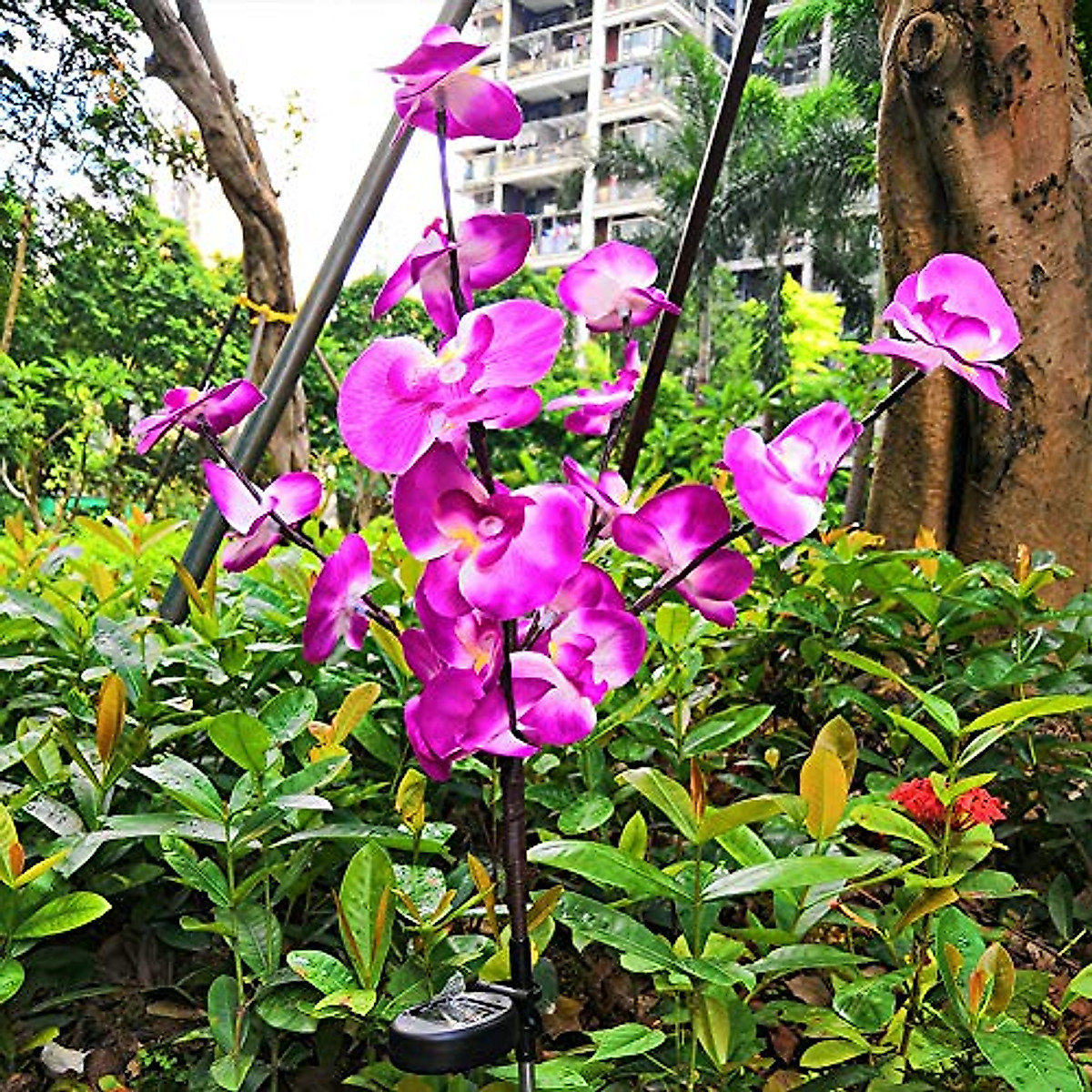 Crisist Solar Pathway Light, Beautiful Elegant Solar Power 2Pcs/Set Garden Light, for Home Outdoor