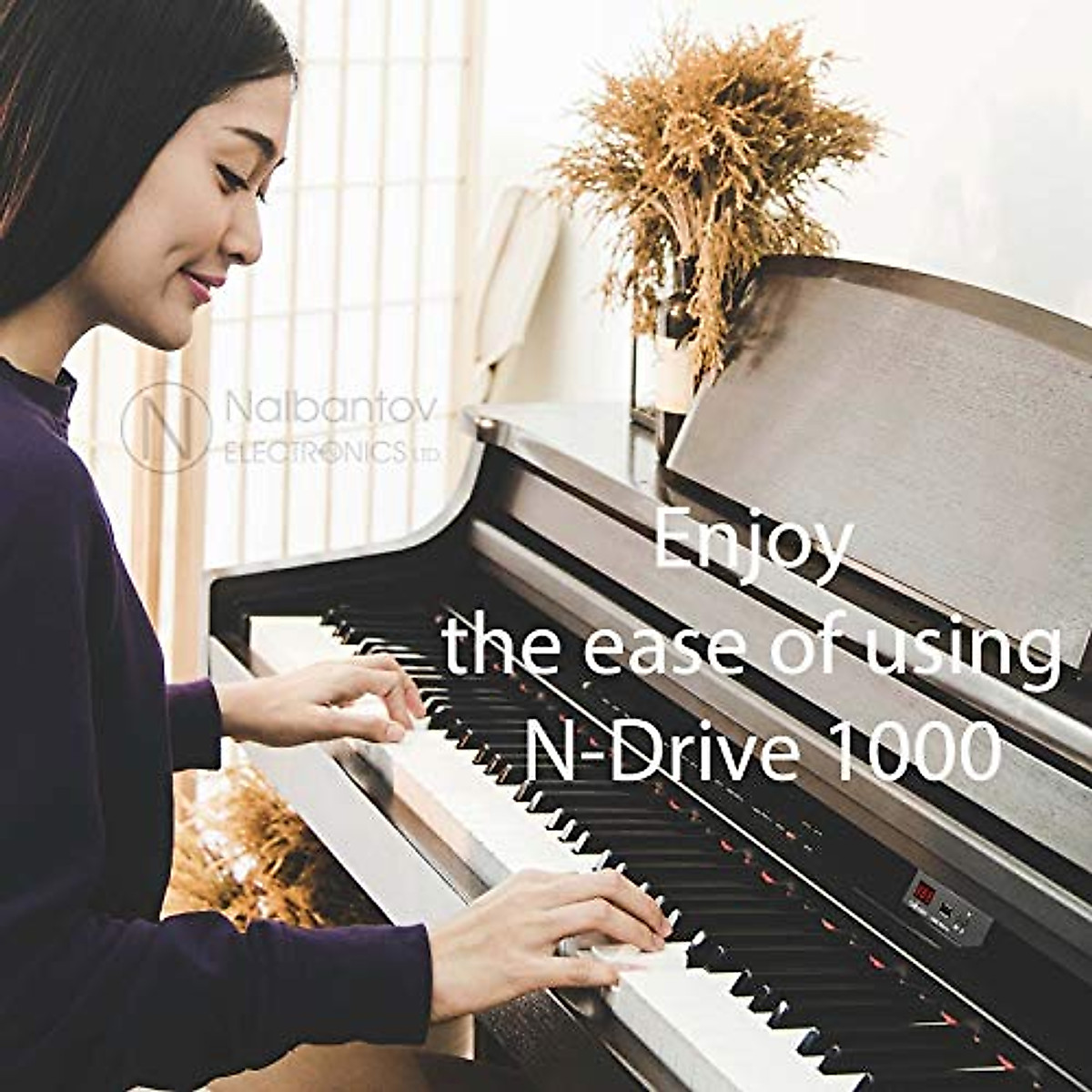 Floppy Disk USB Emulator Nalbantov N-Drive 1000 for AKAI MPC-60 MK II, Version 2