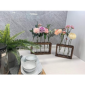 Ivolador Wall Mounted Hanging Plants Terrarium Test Tube Flower Bud Tabletop Glass Wooden Stand with 5 Test Tube Perfect for Propagating Hydroponic Plants Home Garden Wedding Decoration