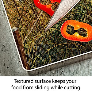 CounterArt 'Path to the Ocean' Glass Cutting Board, 15 x 12"