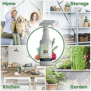 Natural Riches Organic Bug Spray Mosquito Repellent for Kids Insect Repellent for Flies Ticks Outdoor Indoor W/Essential Oils Campers Homes Kitchens Ants Spider Roach Pet Family Safe 16oz