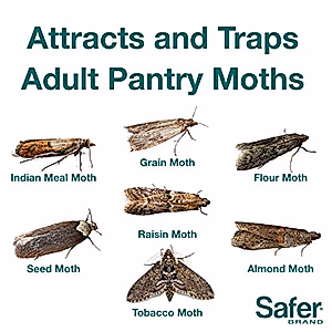 Safer Brand 05140 Pantry Moth Pest Trap and Killer for Grain, Flour, Meal and Seed Moths - 2 Traps