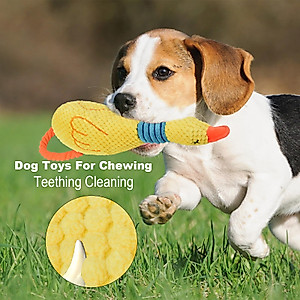 Beautyflier Indestructible Dog Toys for Aggressive Chewers Squeaky Dog Crinkle Plush Toys Durable Teething Chew Toys for Small Medium Large Breed Puppy Chew Teething, Duck Interactive