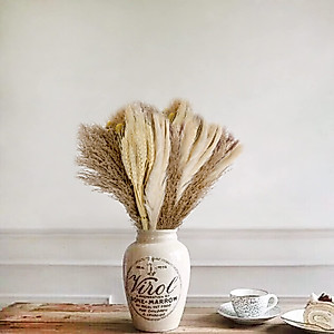 DEAYOU 65 PCS Natural Dried Pampas Grass, 17" Tall Dry Pampas Grass Branches for Boho Decor, Fluffy Pompous Reed Plants Stems Bundle for Flower Arrangements, Home Wedding Decor, 5 Styles