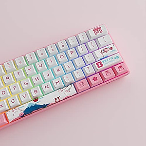 Akko World Tour Tokyo 3061S 60% Pink Wired Mechanical Gaming Keyboard, RGB Backlit, Hot-swappable Wired with OSA Profile PBT Keycaps and NKRO (Jelly Pink Switches)