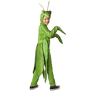 Seasons Child Praying Mantis Costume (L(10-12))