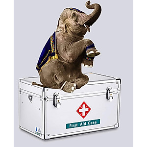 DAOUXIAOSP Family First Aid Box,Portable Medicine Chest Storage,Lidded Storage Bins Medicine Cabinets First Aid Box Portable Medicine Chest Storage Multifunctional Metal Storage Case for Home Outdoor