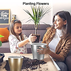 HEMOPLT Plant Pots - Self Watering Pots for Indoor Plants - 5" / 6.7" Planters for Indoor Plants - Pack of 6 Flower Pots - African Violet Pots - Orchid Pot - Gold - Silver - Rose Gold