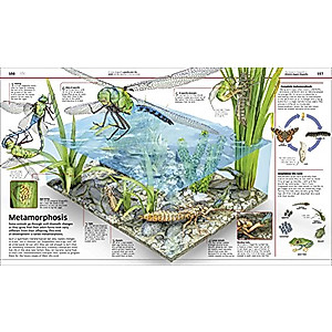 Knowledge Encyclopedia Science! (DK Knowledge Encyclopedias)