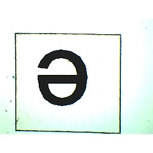 EISCO Wholemount of Letter 'e', Prepared Microscope Slide - 75 x 25mm - Introductory Microscopy