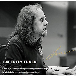 1MORE Stylish True Wireless Earbuds, Bluetooth 5.0, 24-Hour Playtime, Stereo In-Ear Headphones with Charging Case, Built-in Microphone, Alternate Pairing Mode