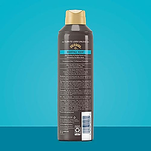 Gold Bond Men's Essentials Talc-Free Body Powder Spray 7 oz. Recharge Scent Wetness Protection