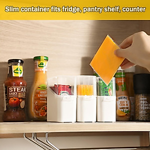PARBEE Sliced Cheese Container for Fridge, 2 Pack Airtight Clear Slice Holder to Keep Cheese Fresh Longer