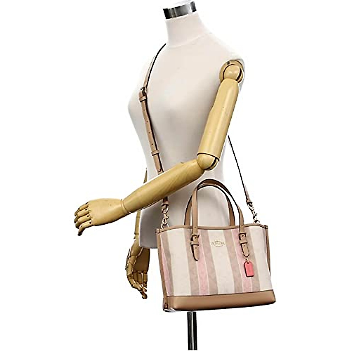 COACH Womens Mollie Tote 25 (IM/Taffy Multi)