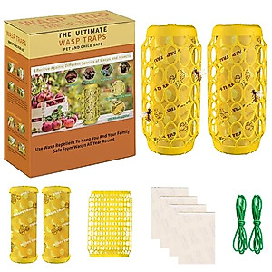 Wasp Trap Carpenter Bee Trap 2 PCS & Replaceable Sticky Boards 4 PCS & Hanging Strings 2 PCS | Repellent Wasp Trap Hanging for Yellow Jacket Wasp Killer Catcher | Reusable & Durable Bee Catcher
