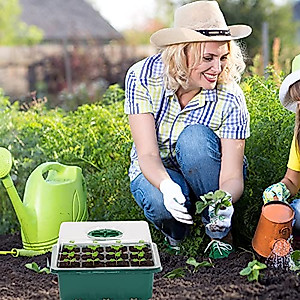 QHC KOCK Seed Starter Tray Seedling Tray (12 Cells Per Tray) Humidity Adjustable Plant Seed Starting Kit with Dome and Base Greenhouse Grow Trays for Plant Growing Starting 5 Packs Black