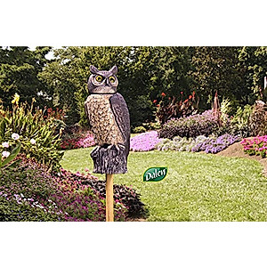 Dalen SOL-R Action Solar Fake Owl Decoy to Scare Birds Away from Gardens, Rooftops, and Patios - Scarecrow Provides Chemical-Free Pest Control - Safe and Humane, 18" 360º Rotating Head