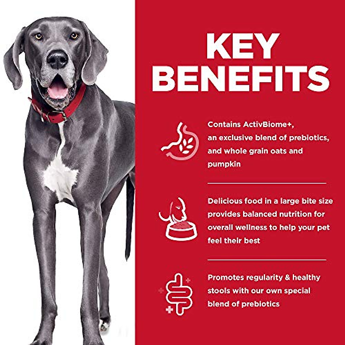 Hill's Science Diet Adult, Large Breed Dog Dry Food Perfect Digestion Chicken 22 lb Bag