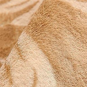 Lion Print Rug Faux Animal Printed Rug Cowhide Skin Carpet Cheetah Area Rugs Kids Rugs for Playroom Livingroom, 2.3 x3.6 Feet (Brown)