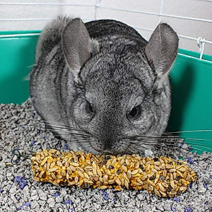 Vitakraft Crunch Sticks Chinchilla Treat - Honey with Added Calcium - Chinchilla Chew Sticks