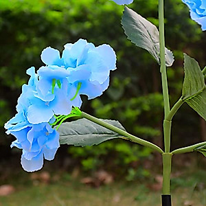 Solar Lights Outdoor Decorative 2 Pack Waterproof Hydrangea Silk Flowers Solar Powered Garden Stake Lights Solar Lights Outdoor Ground Lights for Patio Garden Yard Lawn Pathway (Blue and White)