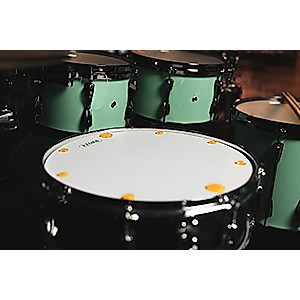 Meinl Cymbals pc Drum Honey Dampening Gel Pads, 12 Piece Assortment with Varying Sizes — Includes Container and Dividers (MDHA)