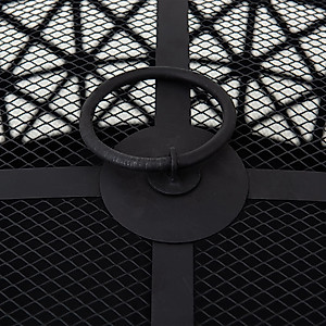 Sunjoy 30 in. Outdoor Fire Pit, Patio Black Round Wood-Burning Steel Firepit Large Fire Pits for Outside with Spark Screen and Fire Poker