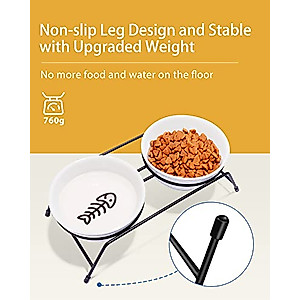 Cat Bowls, Upgraded 13 oz Ceramic Elevated Cat Food Bowls for Food and Water, Raised 2 Cat Dishes with Stainless Steel Stand Non-Slip and Anti-Rust, for Indoor Cats and Small Dog Bowl, Dishwasher Safe
