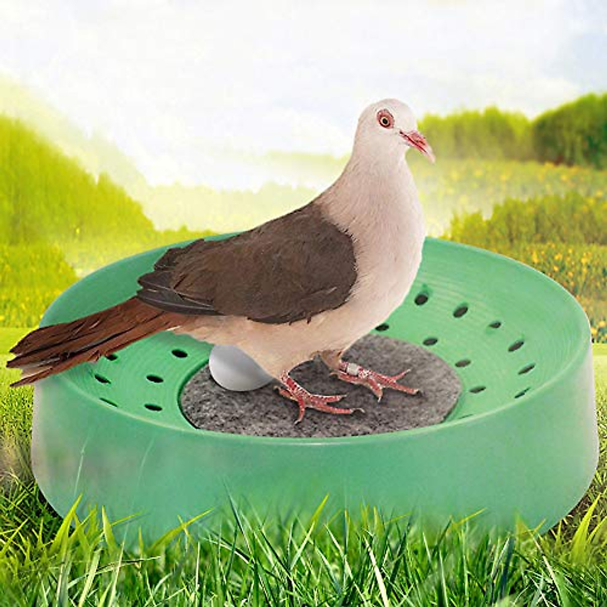 Weiyirot Bird Breeding Bed, 5 Pcs Plastic Bird Nesting Bowl Egg Basin with Mat, Cage Accessory Supplies, Breathable, Washable, Easy to Dry