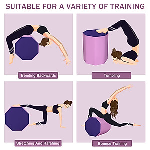 24.4" x 25.6" Gymnastics Octagon Skill Shape Tumbling Mat Octagon Gymnastics Equipment Mat Somersault Backbend Trainer Mat Lightweight PVC Mesh Octagon Gymnastics Shape for Exercise Training, Pink