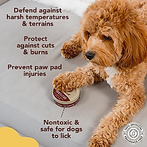 Natural Dog Company PawTection, 1 oz Tin, Veterinarian-Approved, All-Natural Dog Paw Balm and Moisturizer, Nourishing Dog Paw Protector for Rough Terrain and Harsh Temperatures