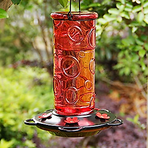 Juegoal 28 oz Glass Hummingbird Feeders for Outdoors, Wild Bird Feeder with 5 Feeding Ports, Metal Handle Hanging for Outdoor Garden Tree Yard, Red