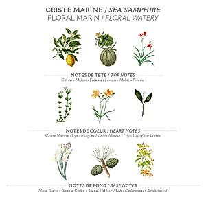 Panier des Sens – Sea Samphire Eau de Toilette - Valentines Day Gifts for Women - Light Perfume for Women – Fresh Fragrance - Gift Ideas for Her - Parfum Made in France - Hair & Body Spray 1.7 Floz