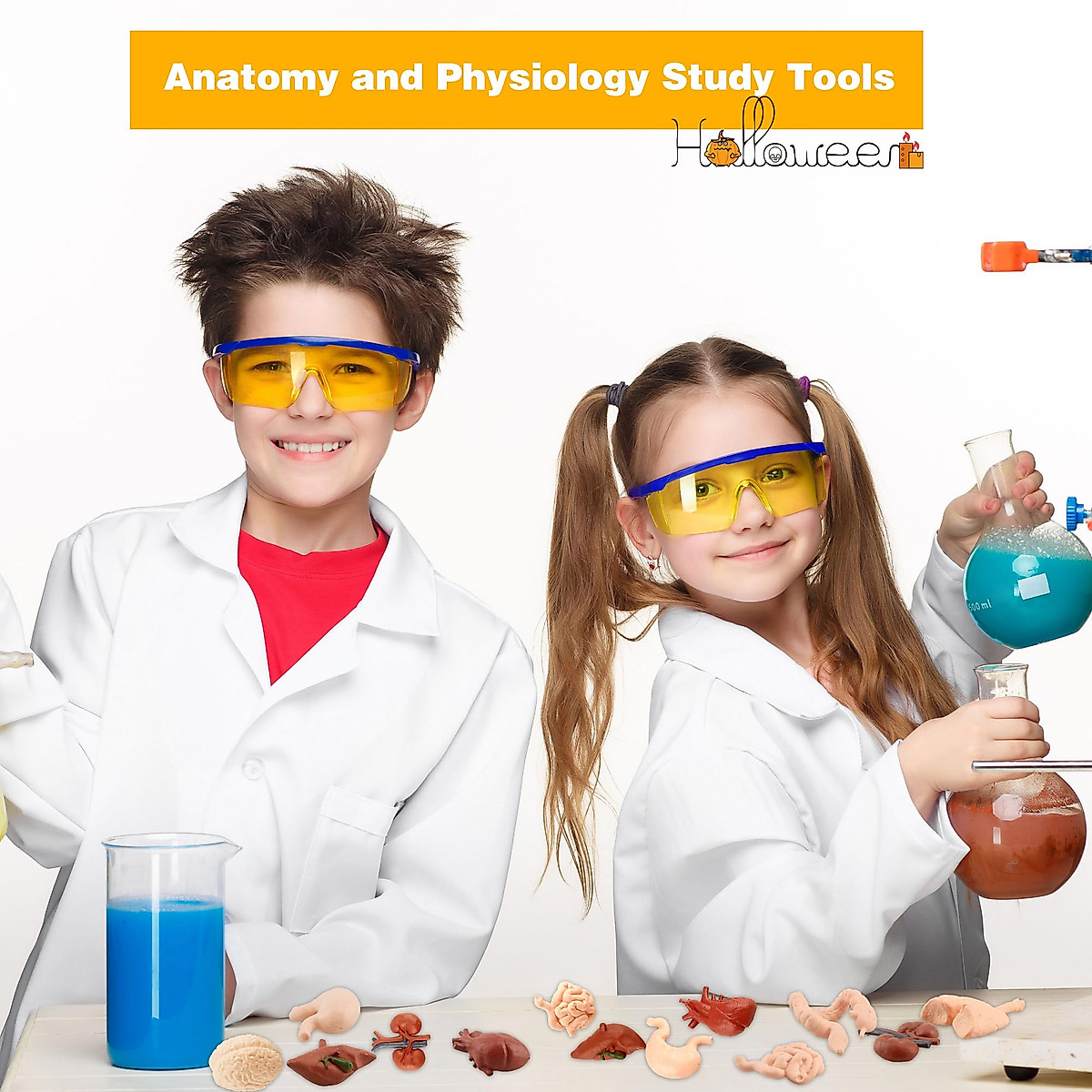 SGBETTER 16 Pack Human Organ Model Human Anatomy Toy Halloween Fake Simulation Human Body Parts for Kids Physiology Study Tools Halloween Decor, 8 Styles