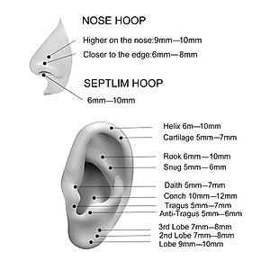 Melighting G23 Titanium Nose Rings Hoop 16G Conch Piercing Jewelry Clear CZ Double Titanium Helix Earrings Septum Rings Tragus Daith Piercing Jewelry for Women