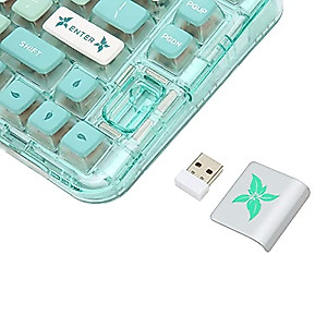 Acogedor Bluetooth / 2.4Ghz Wireless/Type - C Wired Mechanical Gaming Keyboard, RGB Hot - Swappable, Gasket Structure, 80 Keys, Transparent Case, 2 Layers Keycaps (Green)