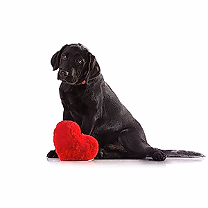 HAPPY PET VITAMINS LLC Dog Anti inflammatory - Dog Omega 3 - Healthy Skin Coat and Joints - Brain and Heart Health - Allergy Relief - Dog Omega Liquid - 2 Bottles (360 Softgels)