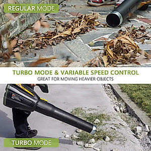 Diivoo Cordless Leaf Blower with 40 V Brushless Motor, 480-CFM/92-MPH Lightweight, Handheld, 2.5 Ah Battery-Powered Blower for Patios and Yards