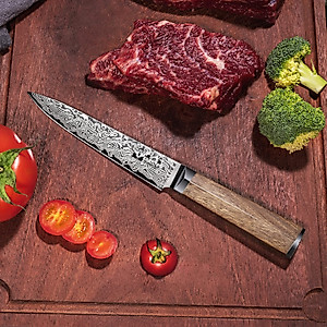 FUJUNI Kitchen Utility Knife 5 inch Damascus Small Chef Knife 67-Layer Damascus VG10 Steel Ultra Sharp Professional Paring Knife with Hexagon Natural Wood Handle