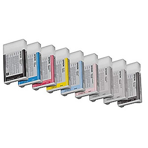 Epson UltraChrome K3 Ink Cartridge - 220ml Photo Black (T603100)
