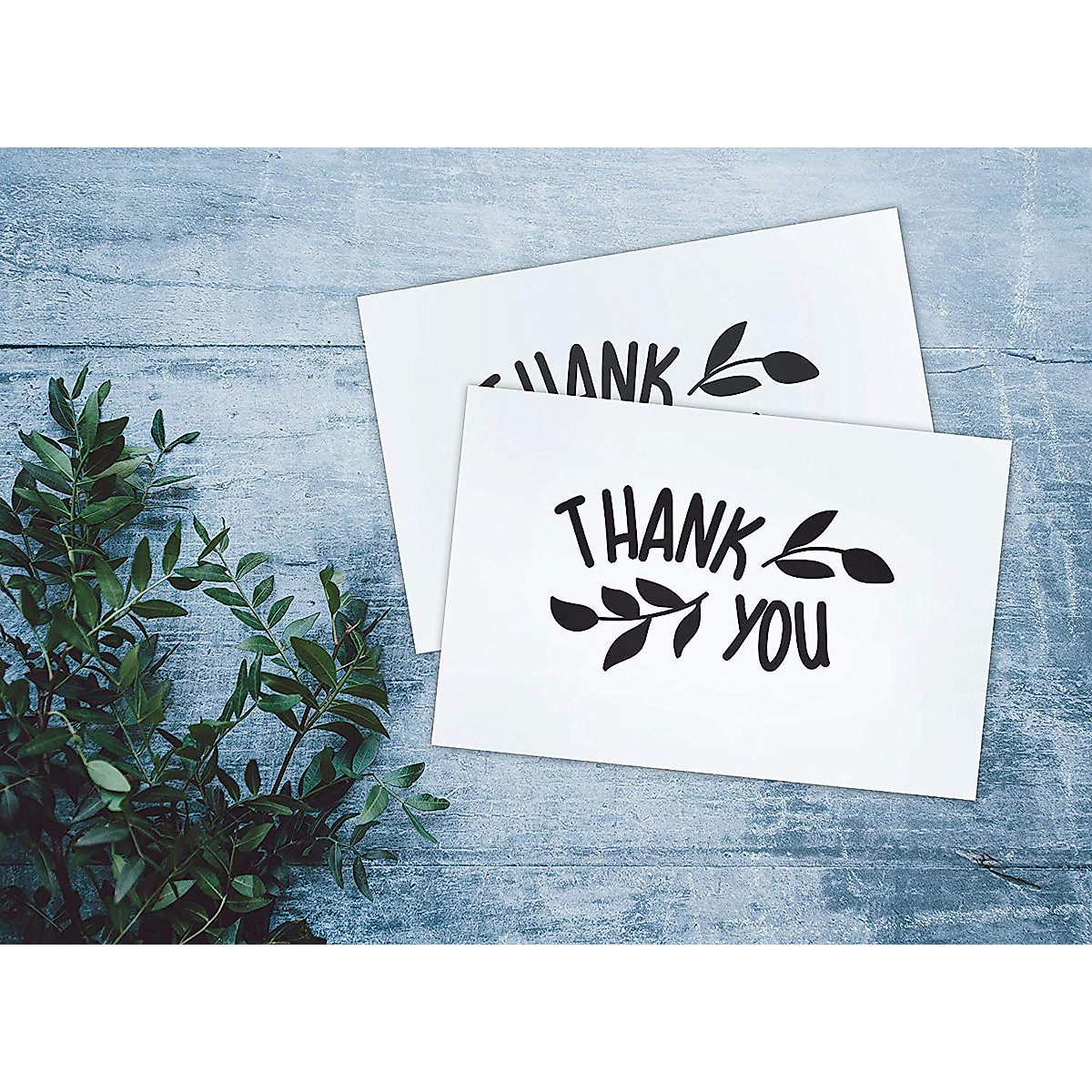 Cavepop 36 Pack Card Box Assorted Thank You Cards with Envelopes, Black and White Handwritten Blank Cards for a Greeting, Notes, Gifts with Envelopes for Wedding, Baby and Bridal Shower