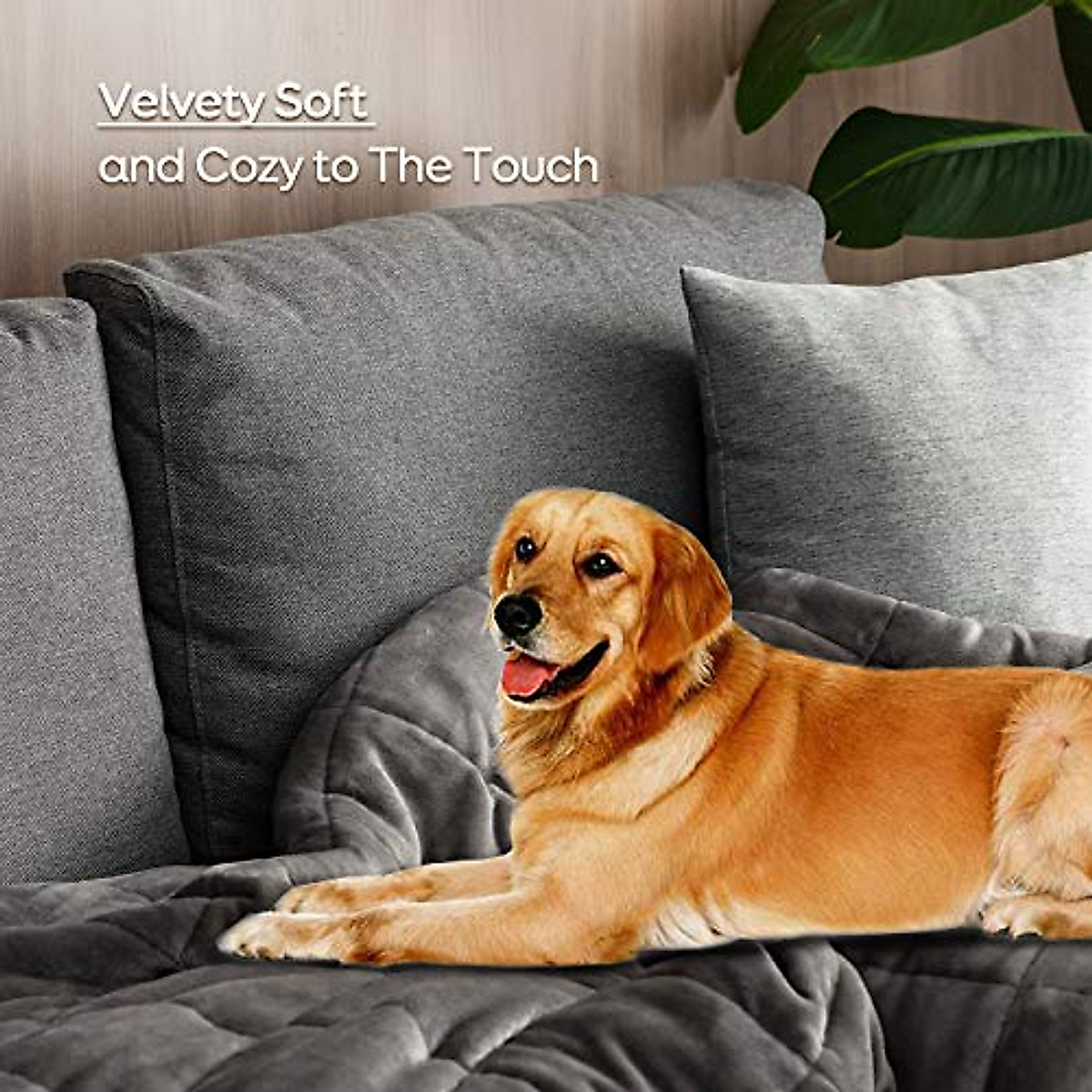 Lofus Sherpa Fleece Weighted Blanket 20 lbs Heavy Blanket with Soft Plush Flannel Reversible Full-Size Super Soft Extra Warm Cozy Fluffy Blanket 60 x 80 inches for Adult Bed Couch, Grey